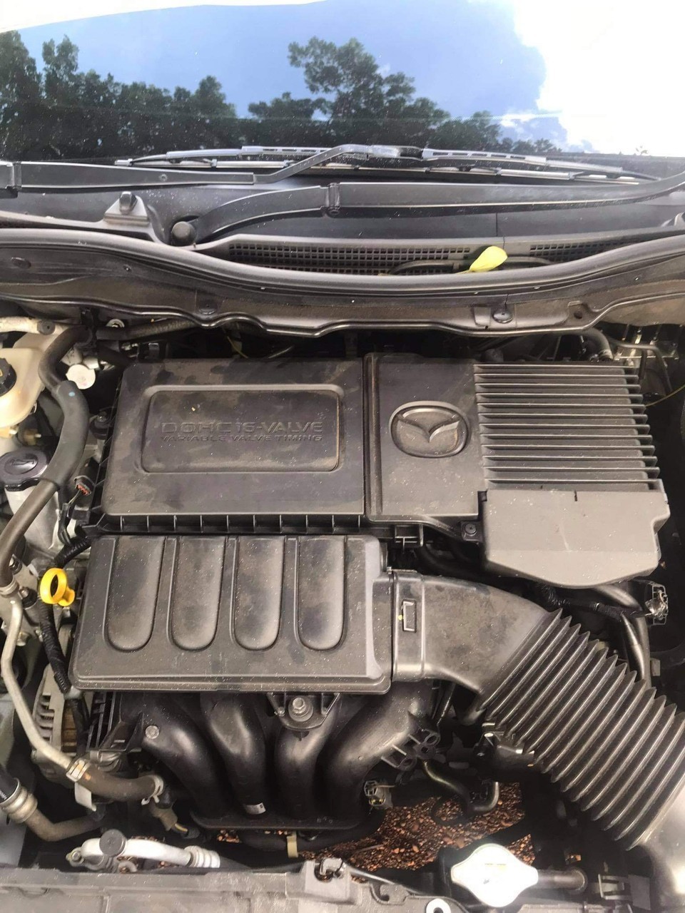 Standard Inspection Report